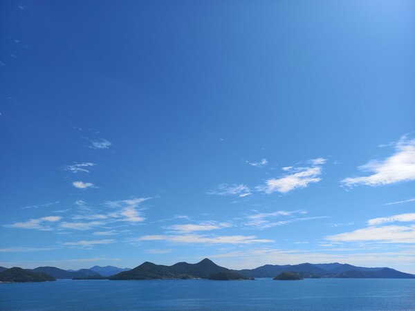 [정하룡 칼럼] 계묘년 크리스마스 아침, "4가지 없는 4가지" - Kollo